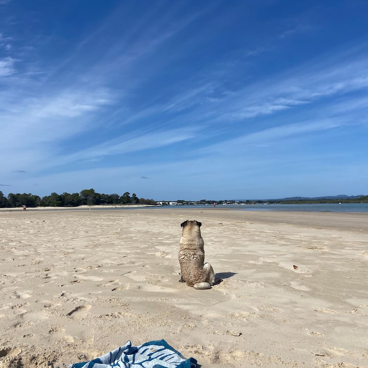 Festive Getaway Near Noosa • Dog Friendly Stay! - Eumundi