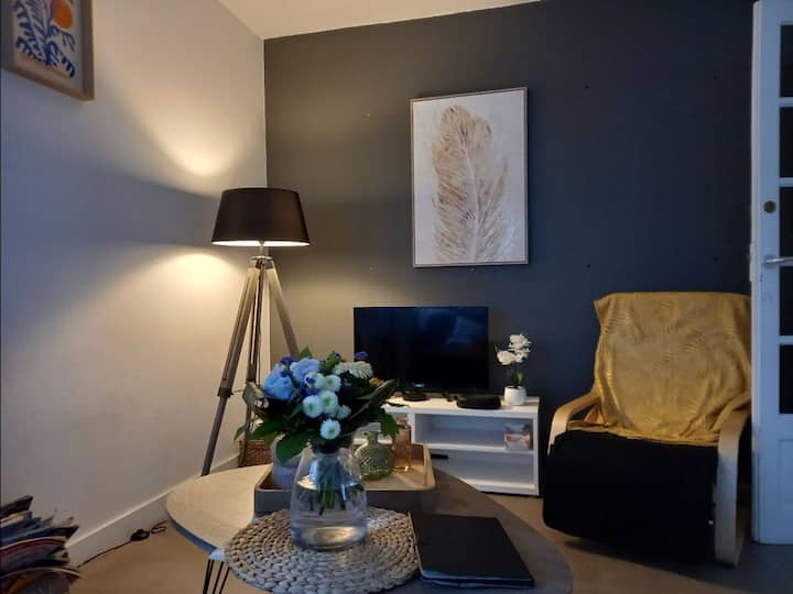 Appartement Cosy Angers-3 Chambres - Angers