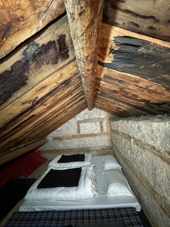 Cozy Attic In A Wooden House - Gangotri