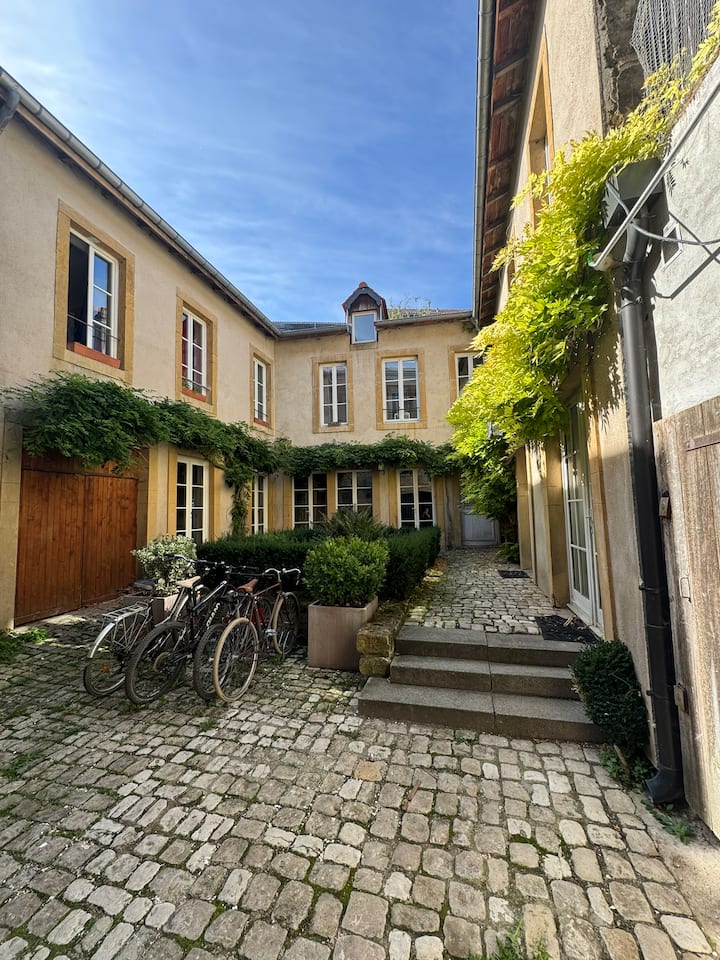 Le Parisien - Appartement De Caractère à Metz - Metz