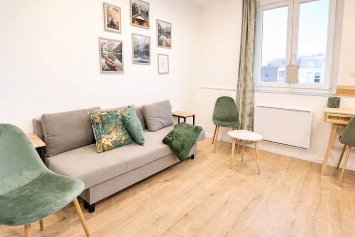 Le Studio ÉMeraude - Faches-Thumesnil