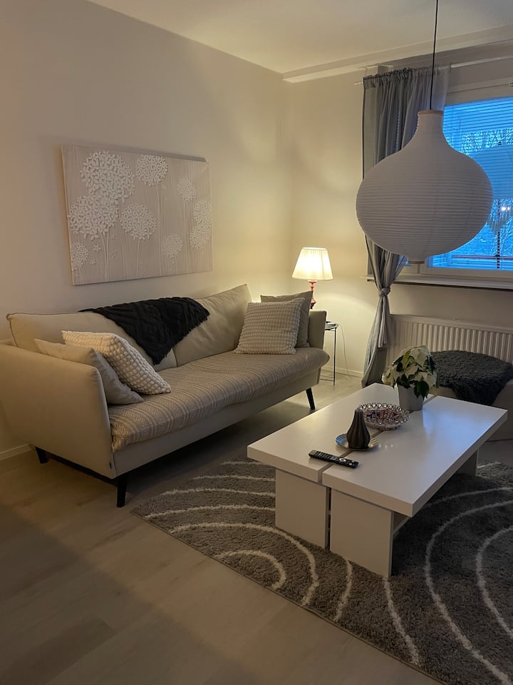 Kaksio Joensuun Keskustassa - Joensuu