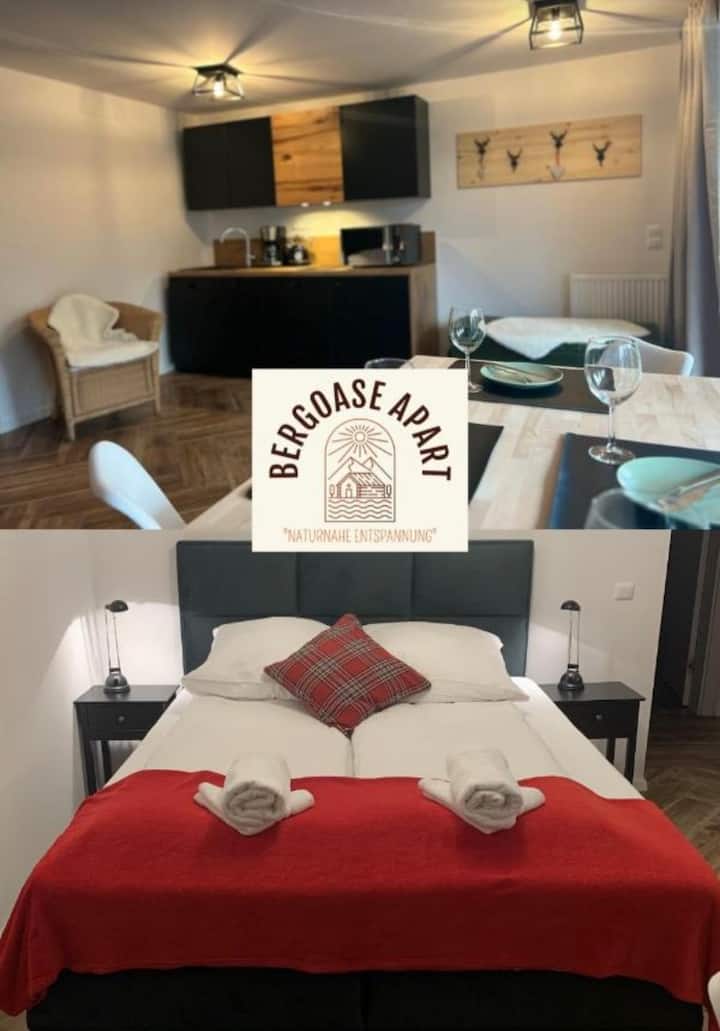 Bergoase-apart Am Feldberg - Titisee-Neustadt