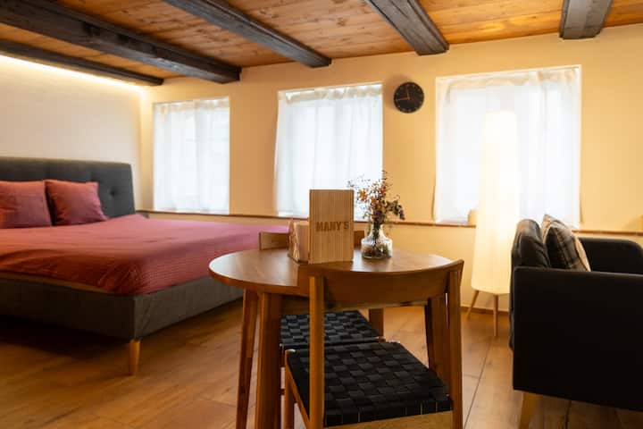 Rustic & Historic Renovated City Apartment - Zurique