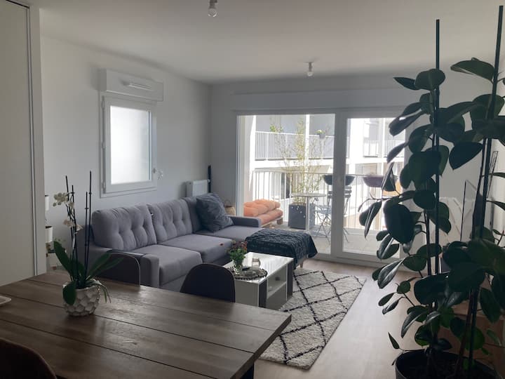 Apparemment T3 - Lumineux - Saint-Jacques-de-la-Lande