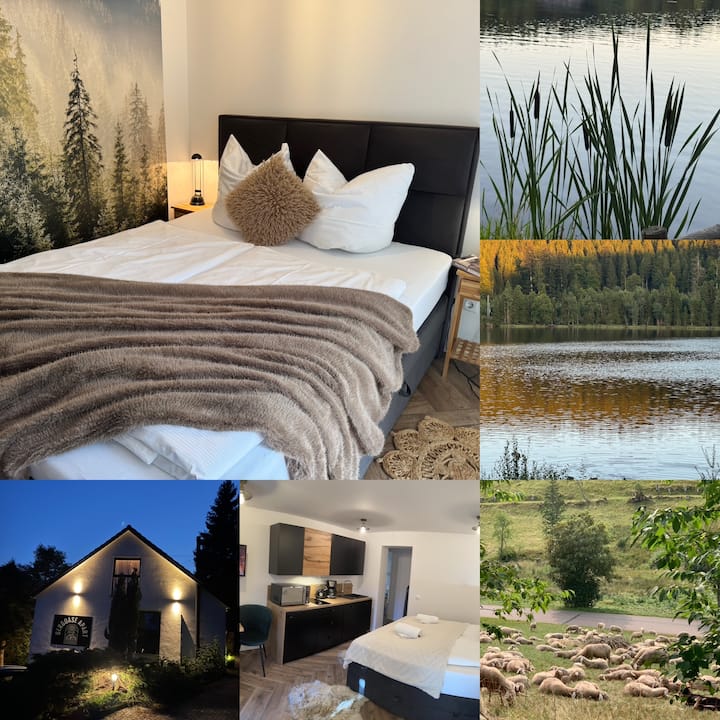 Bergoase-apart Am Feldberg - Studio-apartment - Feldberg