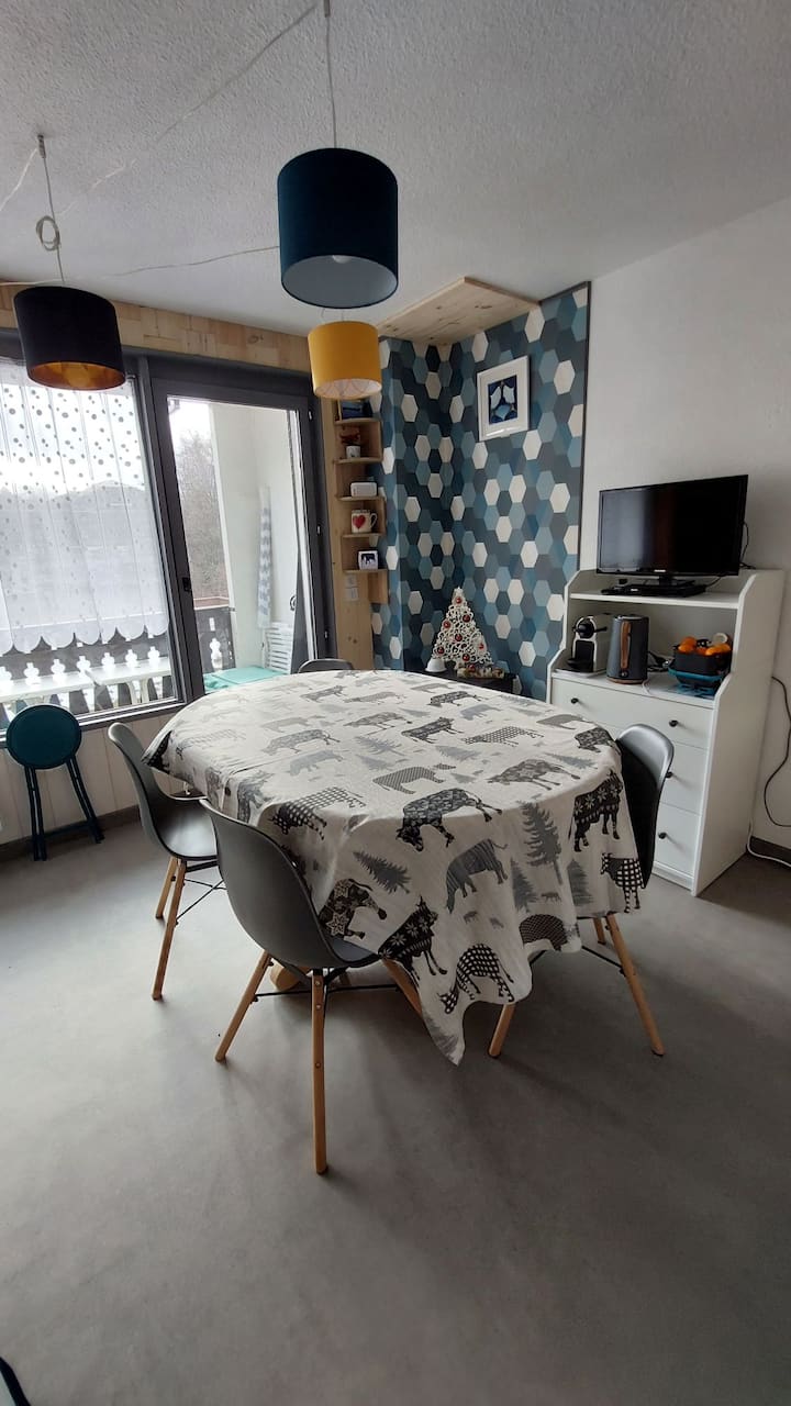 Studio 4 Personnes Avec Balcon Plein Sud - Les Carroz d'Arâches