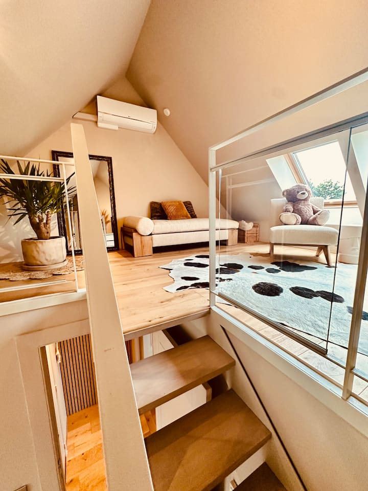 Maison Vif Park Nord - Anvers