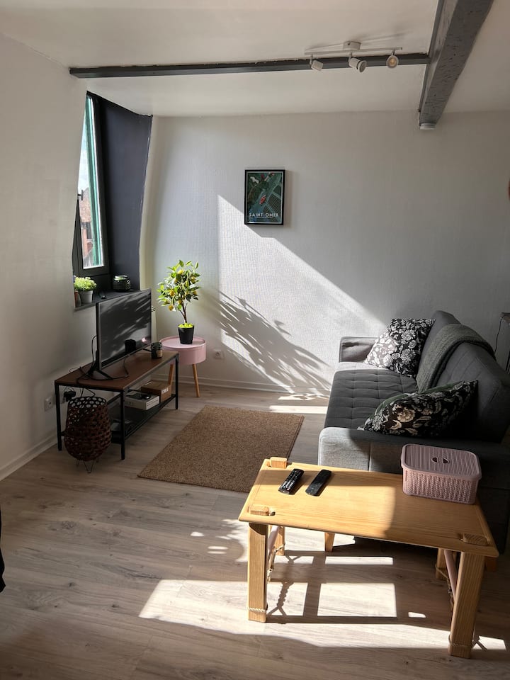 Appartement Proche Centre Ville - Pas-de-Calais