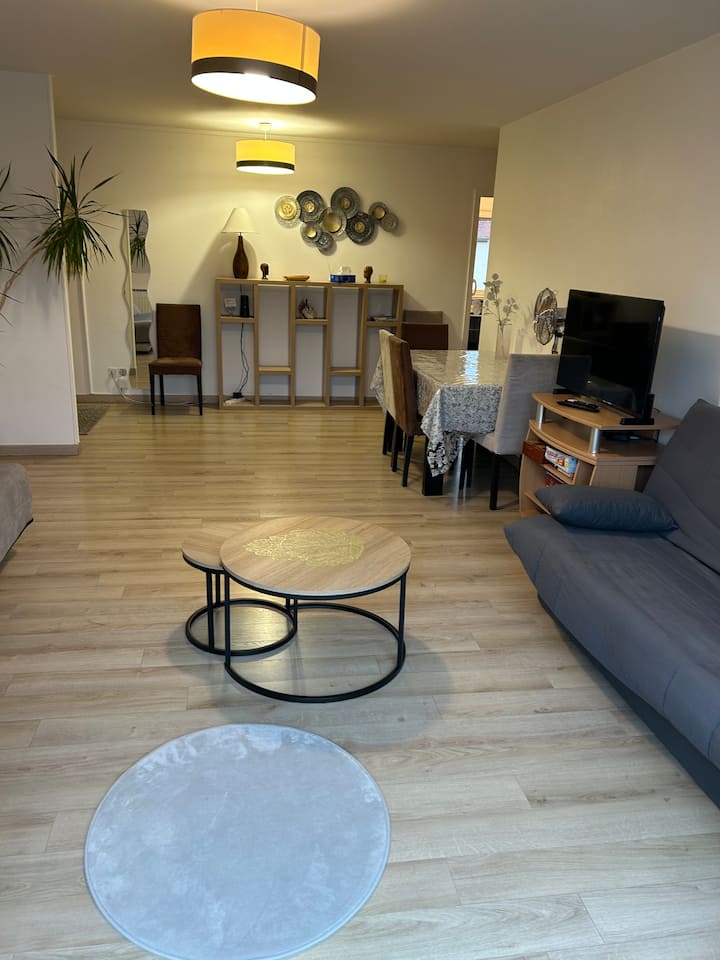 Duplex Lumineux 100m² + Garage 10 Min Centre - Kehl