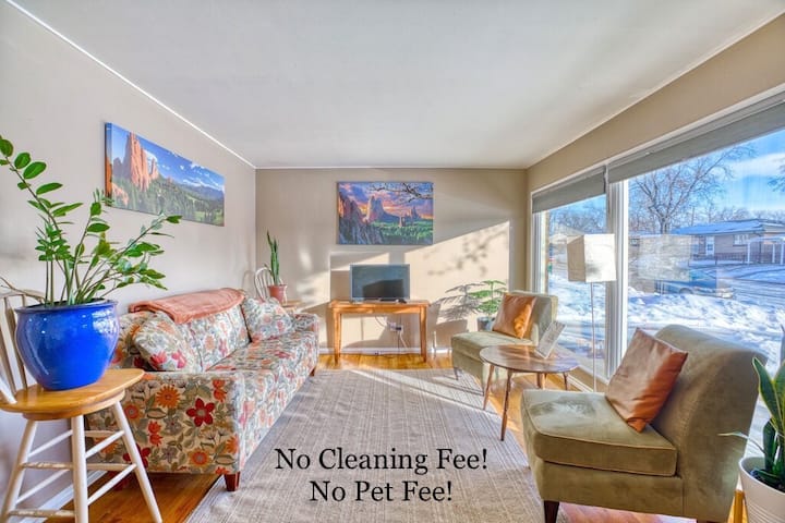 Dog Friendly Ping-pong King Bed - Westminster, CO