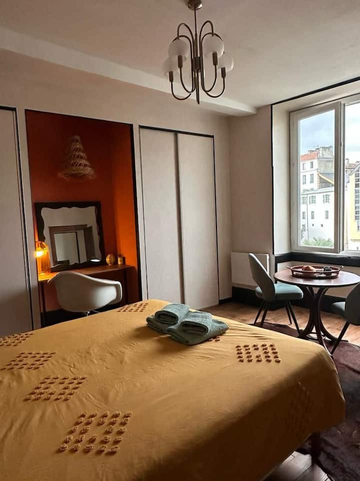Appartement Hedas Hyper Centre - Pau