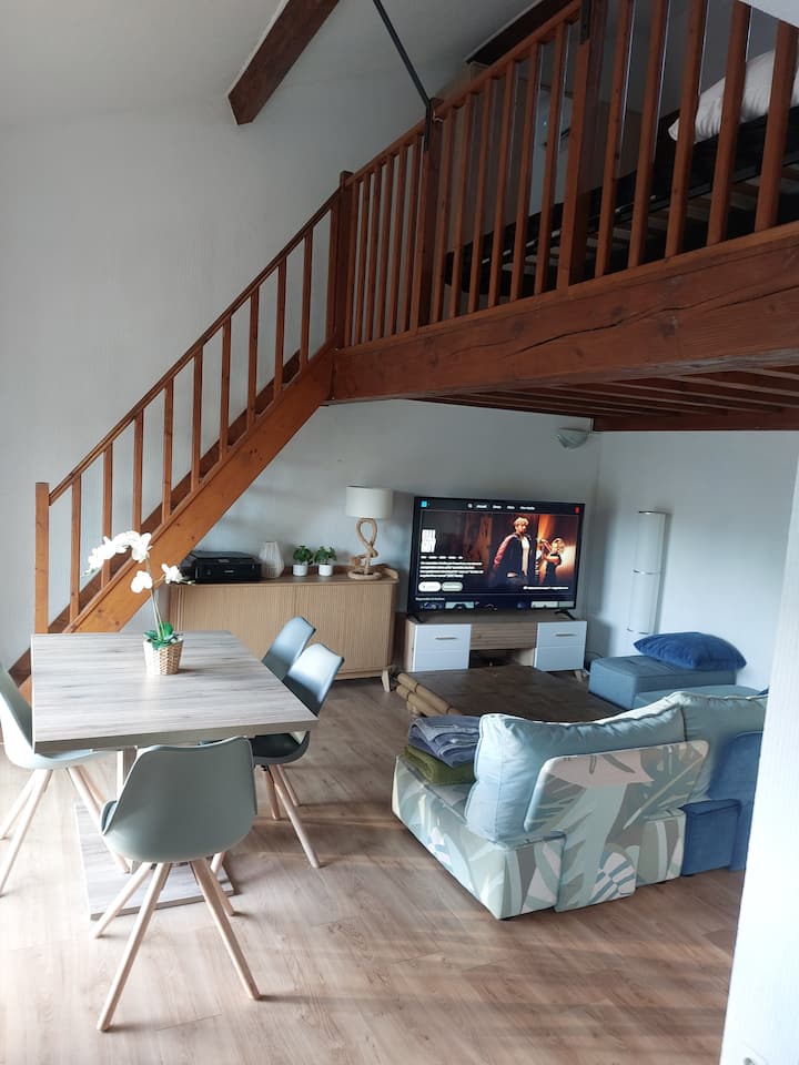 Magnifique T2 Refait à Neuf - Montpellier