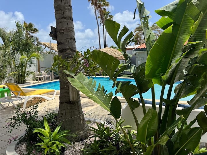 Cozy Studio Near Marriot Palm Beach - Aruba