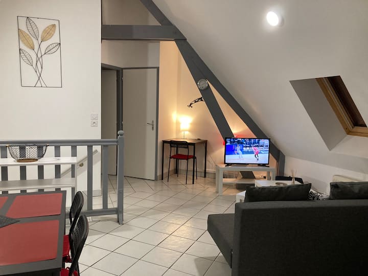 Bel F3,fonctionnel & Confortable - Orcines