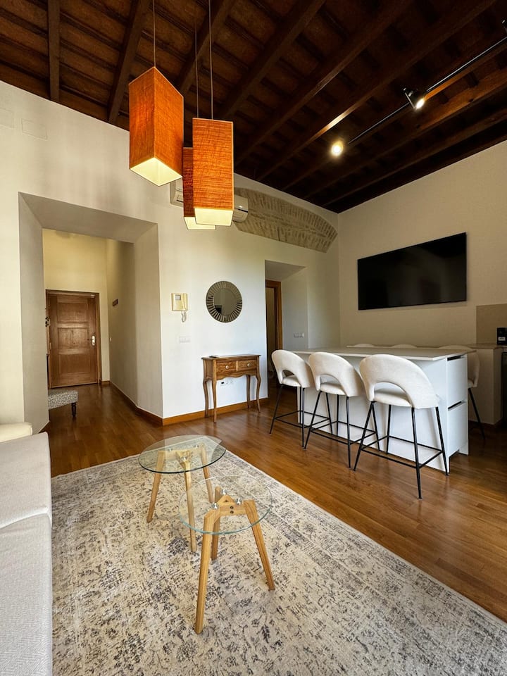 Luxury Duplex In The Historic Center! - Seville
