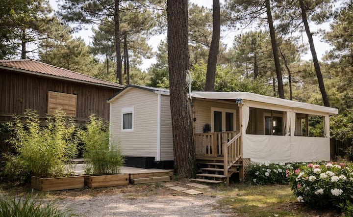 La Cabane Des Pins - Lège-Cap-Ferret