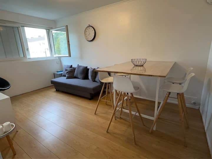 Air-conditioned - Apartment Near Versailles - Versailles
