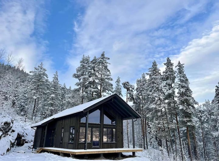 Treungen, Nisser Hyttegrend - Norway