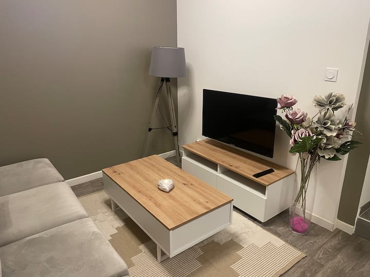 App Authentique Calme Hyper Centre Wifi Netflix - Saint-Étienne