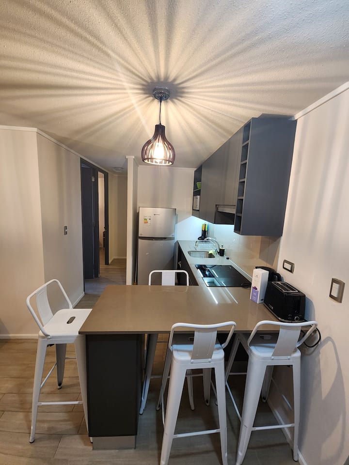 Apartamento En Santiago Centro - Chile