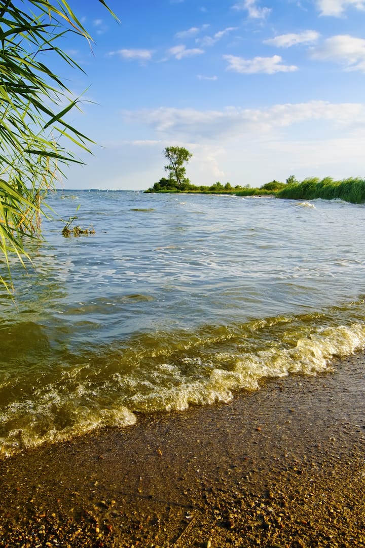 Ferienwohnung Möwe Am Achterwasser Lütow Usedom - Lütow