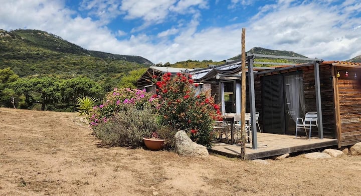 Location D'un Bungalow  Dans La Nature Et Au Calme - Sartène
