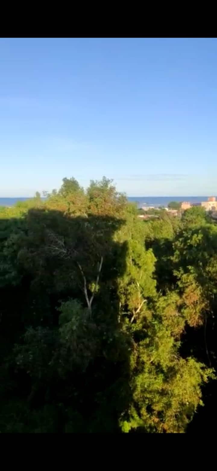 Aptp Próx A Praia Vista Mar - Serra