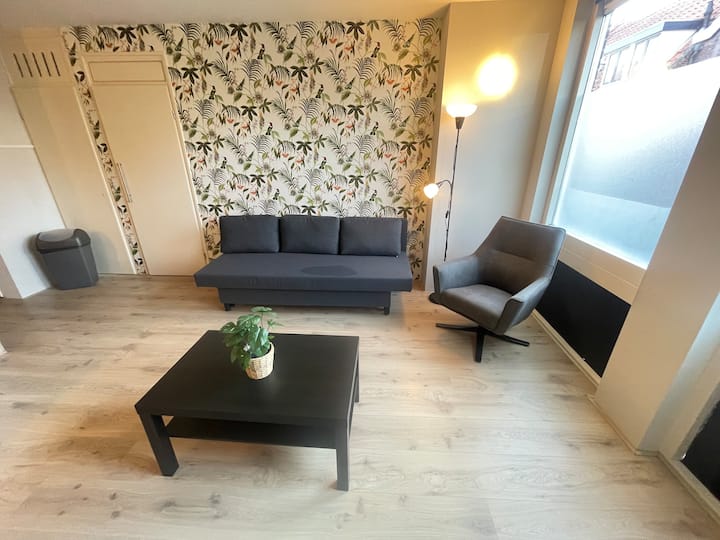 Vakantiehuisje Centrum Alkmaar, Bergen Nh, Schoorl - Heerhugowaard