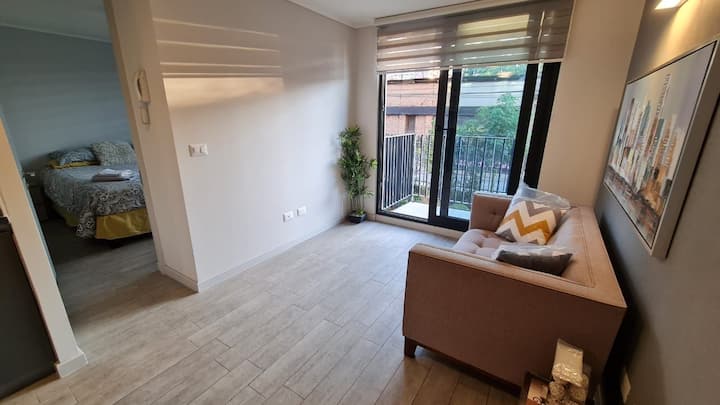 Acogedor Dpto. En Barrio Italia - 산티아고