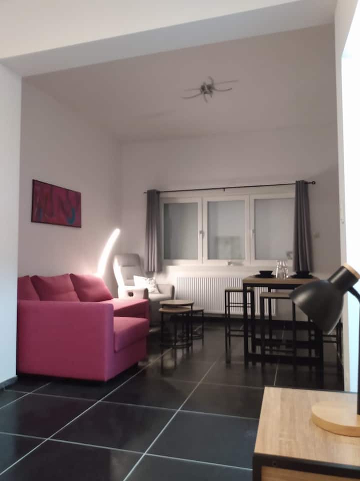 Studio Récent Et Lumineux - Charleroi