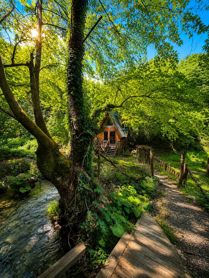 Beautiful Cabin By The River - Kocaeli