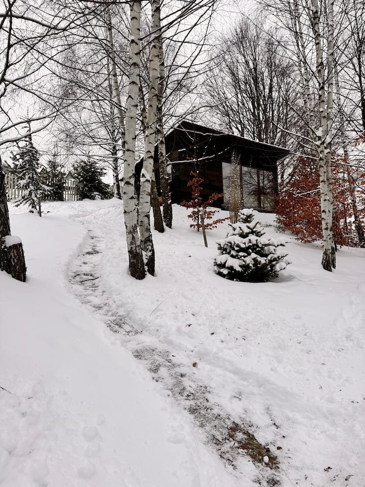 Trees House Parang - Petroșani