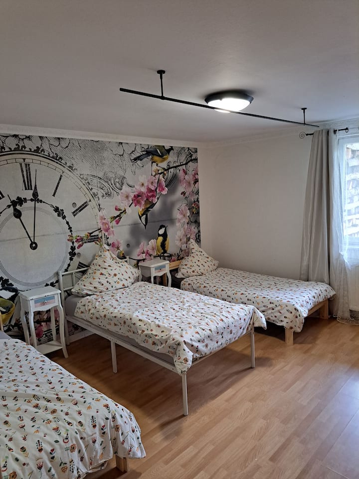 Ferienwohnung /Monteurunterkunft - Riedelberg