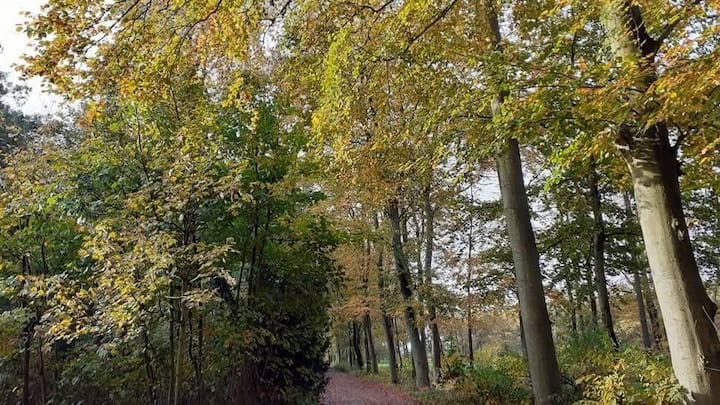 Romantisch Natuurhuisje Tijd Voor Elkaar! - Frise