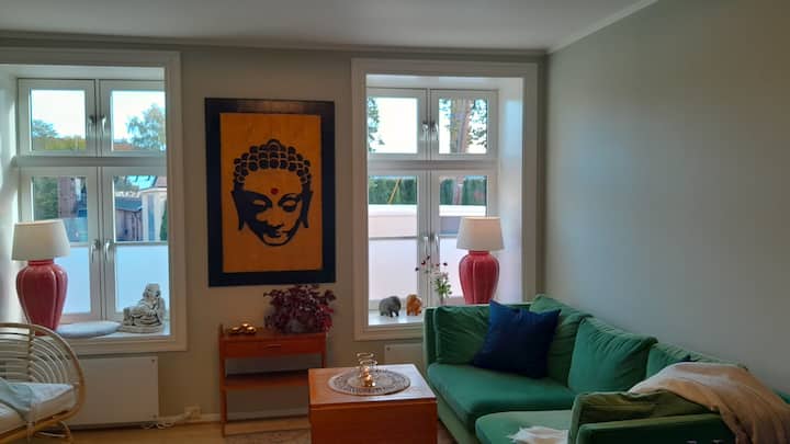 Cutest Apartment In Oslo! - Oslo