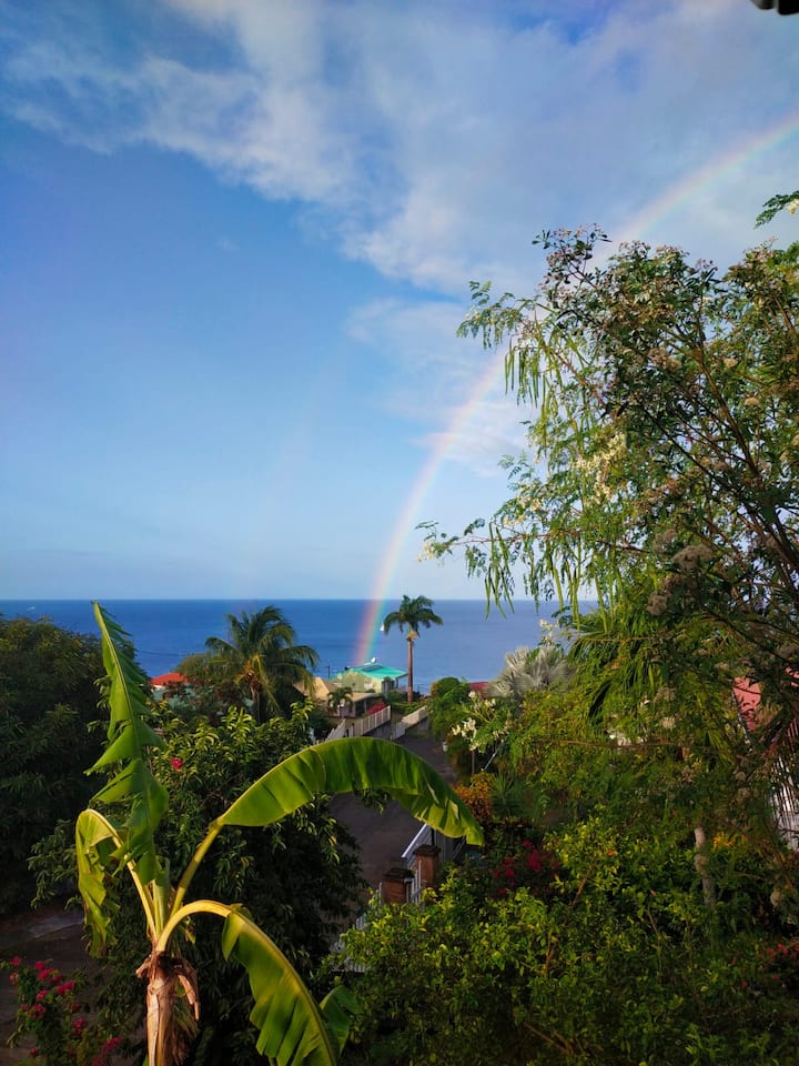 Carbet T2 Vue Mer Calme Découverte Du Nord - Martinique