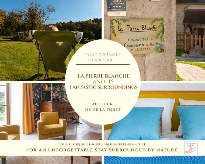 Nid Douillet Au Pied De La Forêt, Rétro-chic - Malesherbes