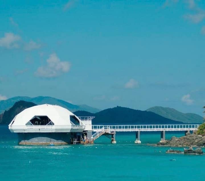 Newly Remodeled 2 Bedroom Walk To Coki Beach - セント・トマス島