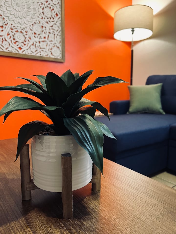 Vivid Colors Apt/great Location - Laredo, TX