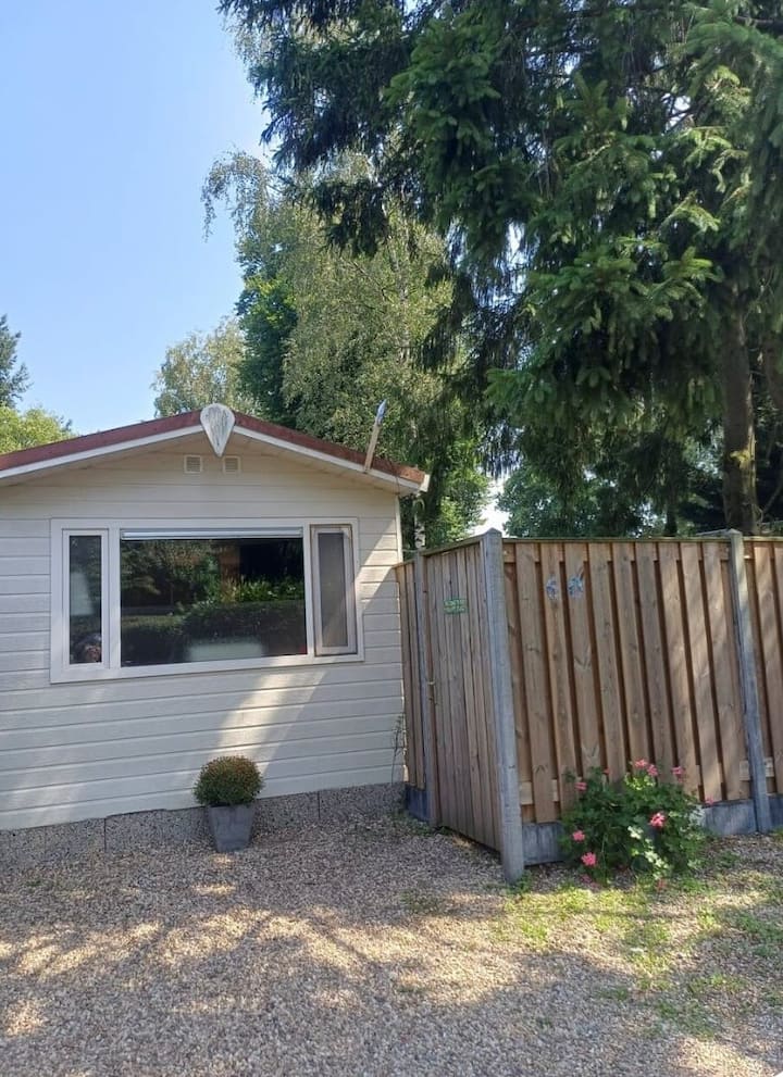 Chalet Op Park Reewold In Bosrijke Omgeving - Ermelo