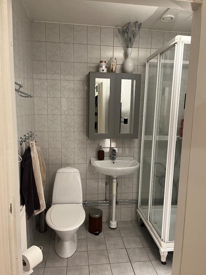 Mysig Lägenhet! - Gothenburg