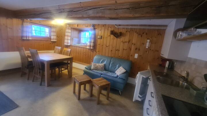 Davos 3.5 Room Apartment Wef - Davos