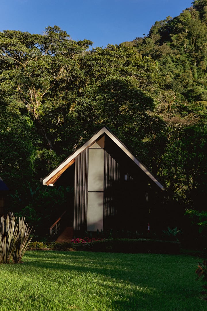 Higueron Lodge - Oropéndola - Bajos del Toro