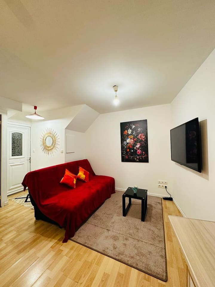 Appart T3 Centre Ville Castres - Castres