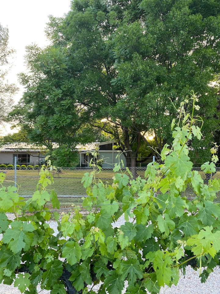 Lynwood Relax Wine And Dine - Mudgee Airport