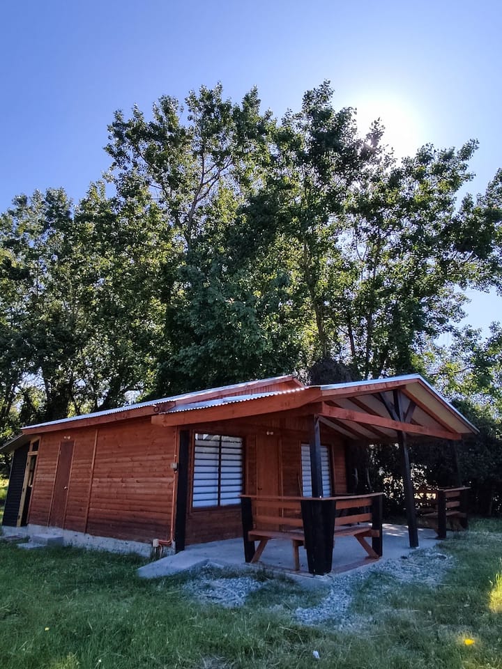 Cabaña A 170 Metros De La Playa - Puyehue