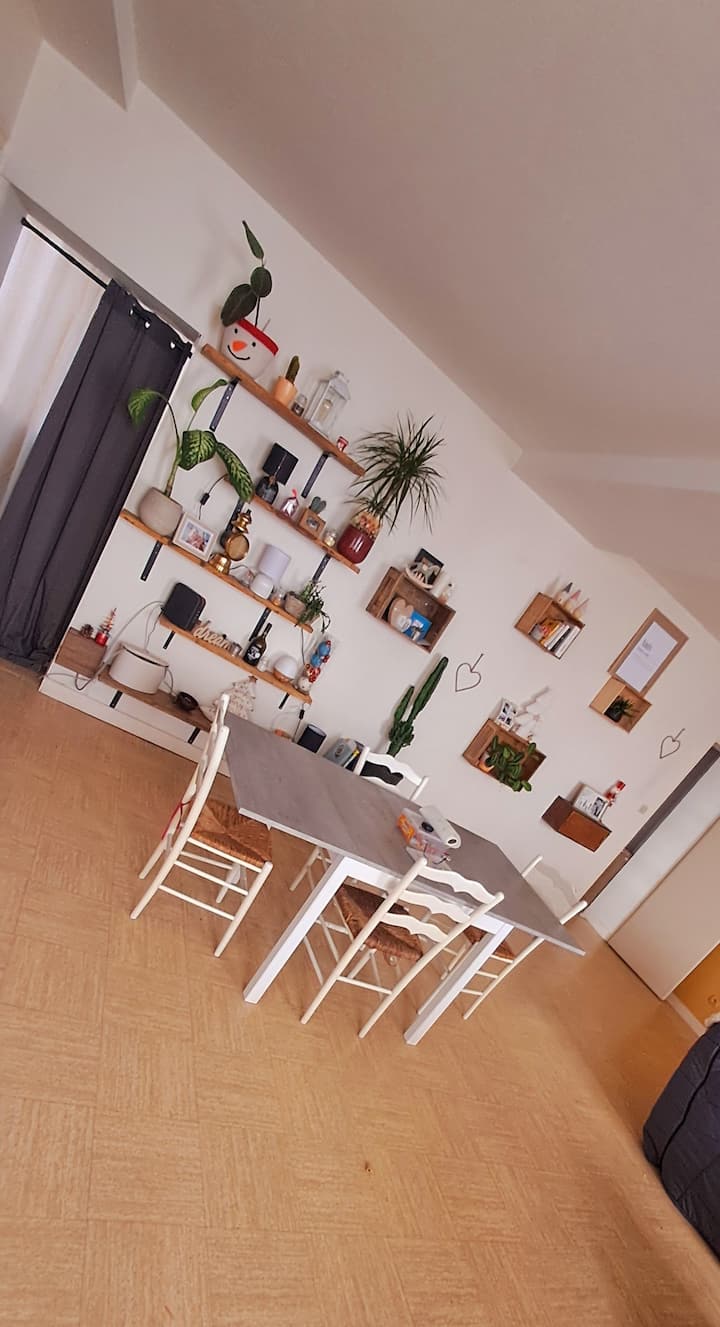 Appartement Saumur Hyper Centre - Saumur