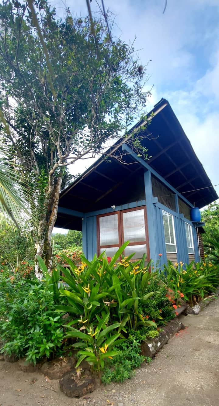 Eco- Cabañas Cleo - Chocó