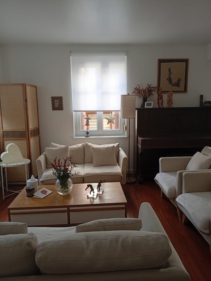 Maison Au Calme T4 95m2 Confortable, Cour Arborée. - Strasbourg